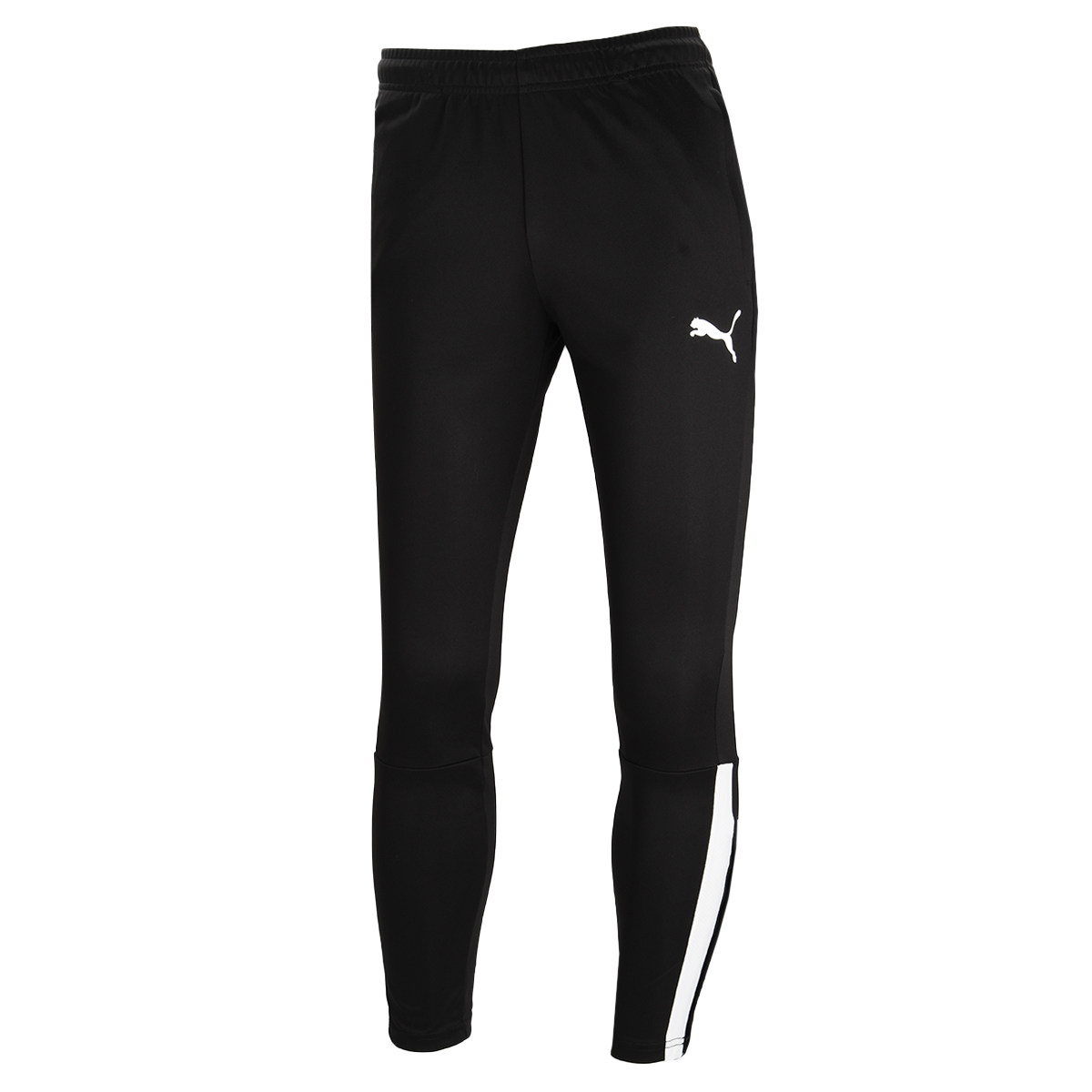 Pantalón Puma Teamliga Training Hombre | StockCenter