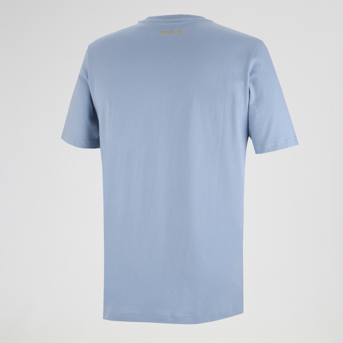 Remera AFA Argentina adidas Aniversario DNA 24/25 Hombre | StockCenter