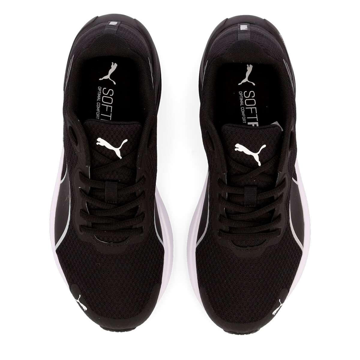 Zapatillas Puma Feline Profoam | StockCenter